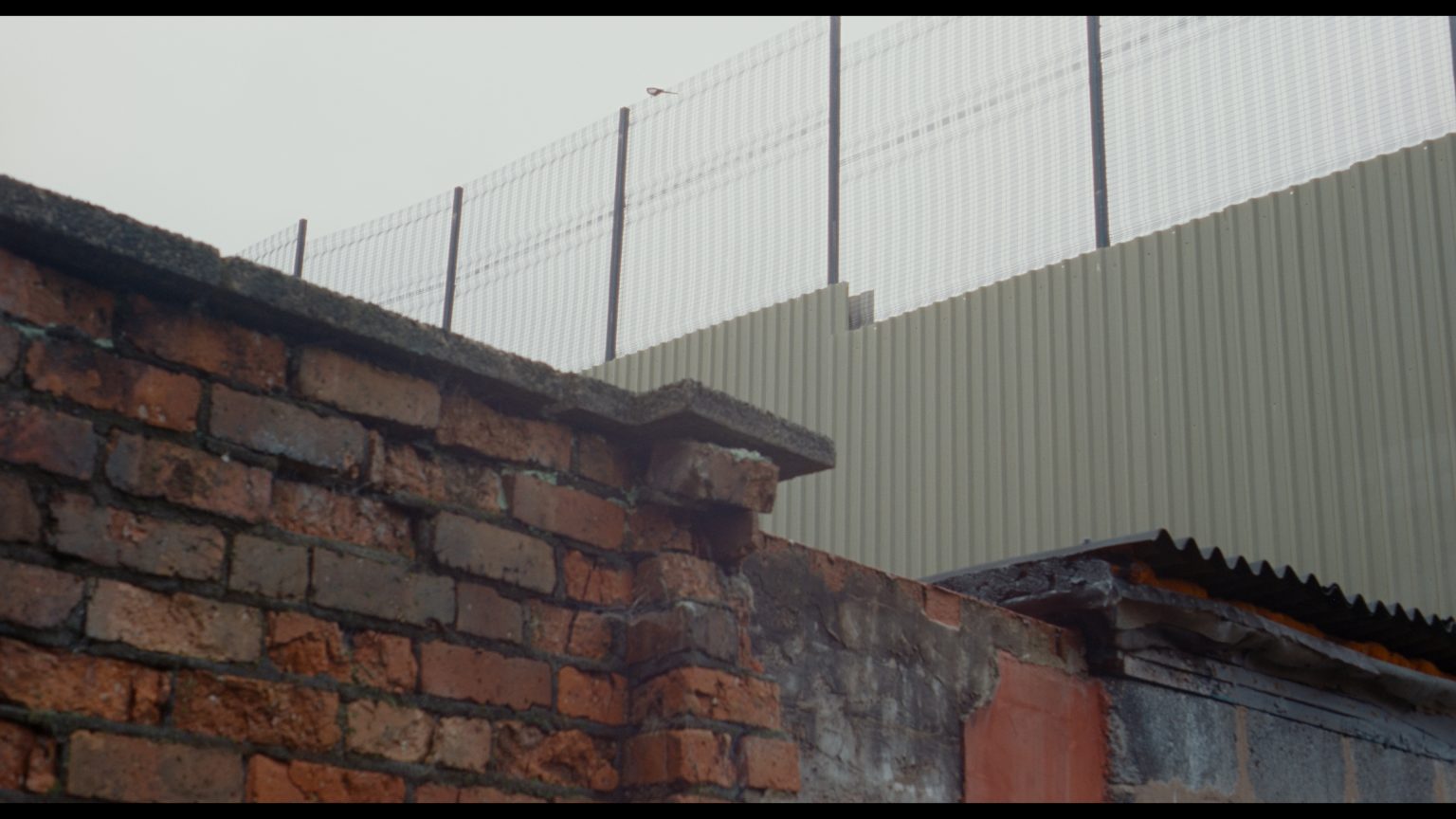 History of the Present: Maria Fusco and Margaret Salmon in conversation ...