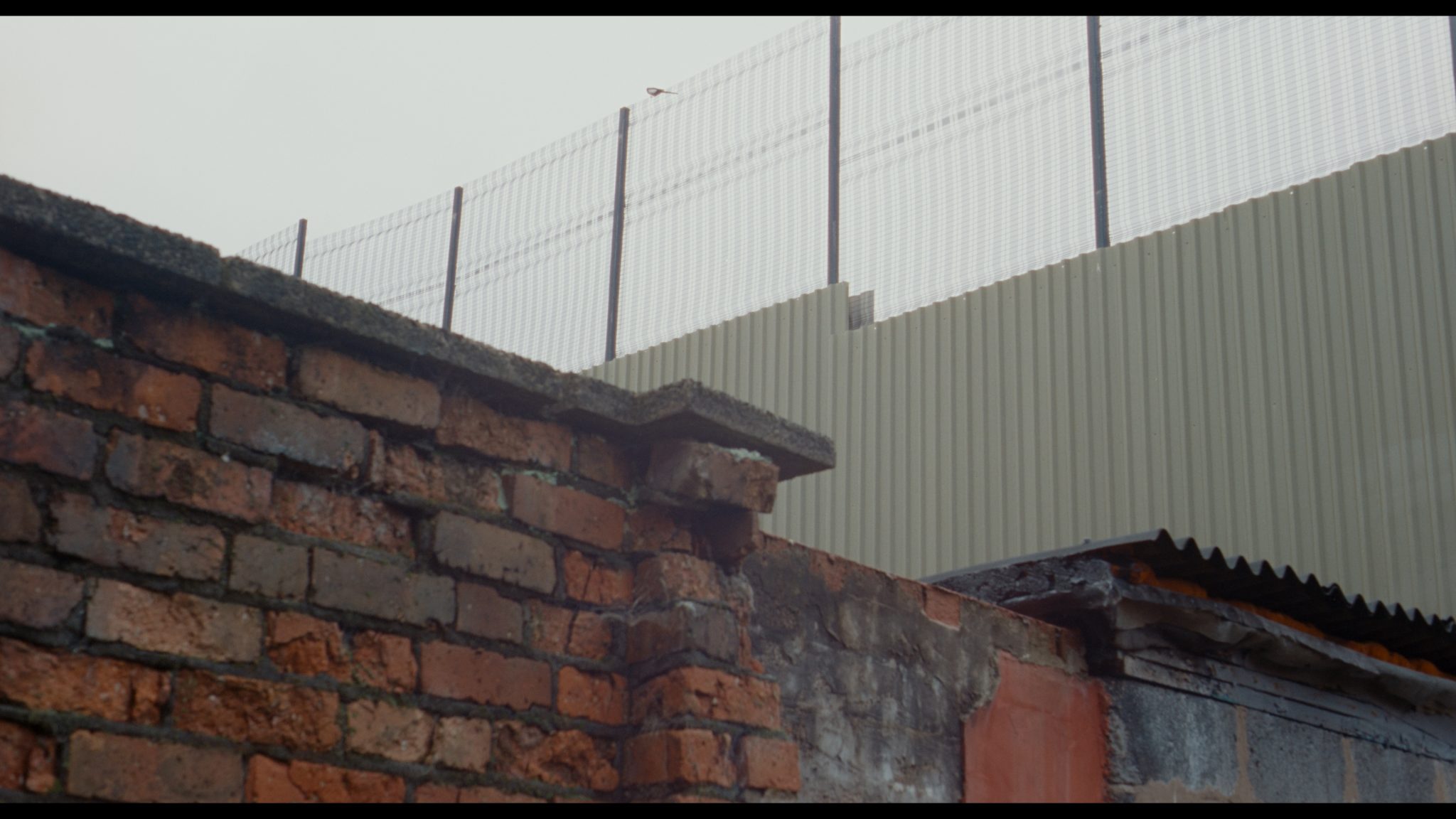 History of the Present: Maria Fusco and Margaret Salmon in conversation ...